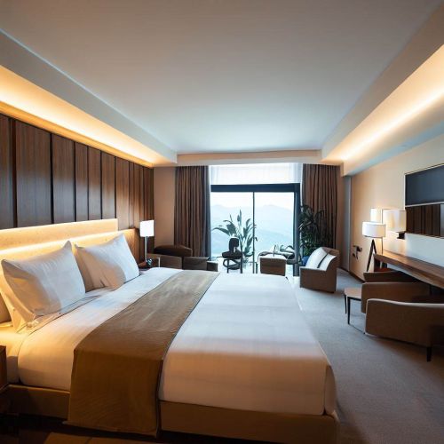 Hotel - Motel - Best Ceiling Ideas